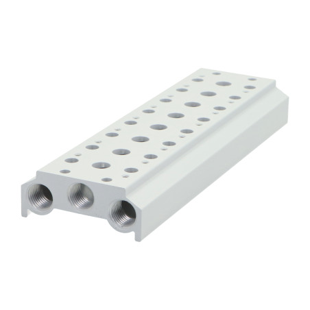 Manifold 300M-8F PT | Babikian Automation